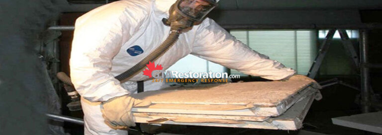 Safe Asbestos Removal & Abatement Work | A Technical Guide